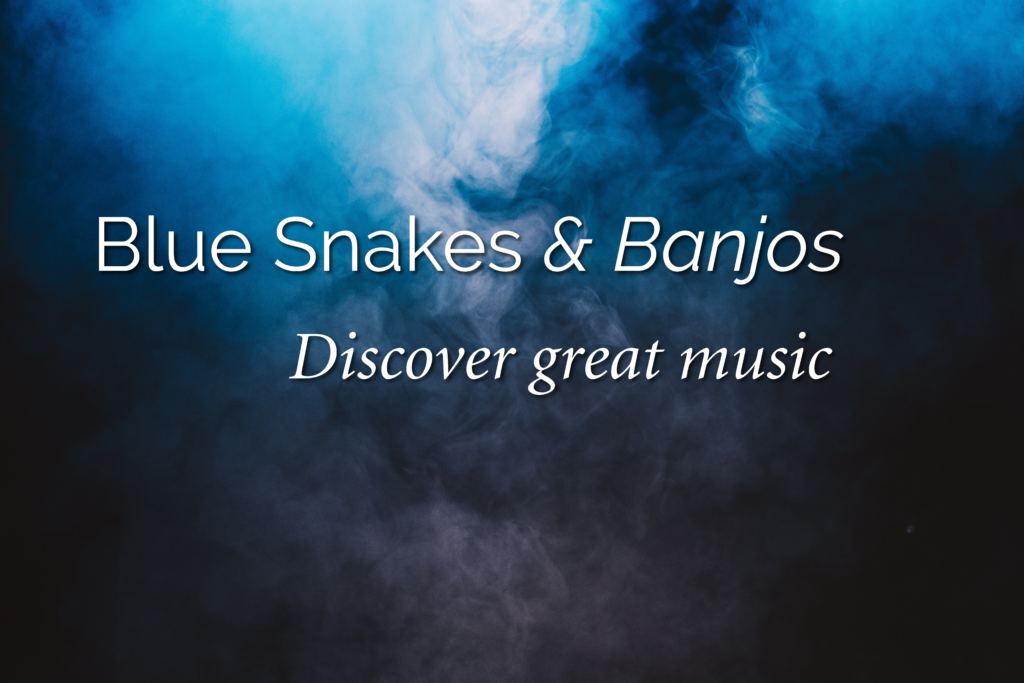 Blue Snakes and Banjos – Come for the music – Stay for the charm