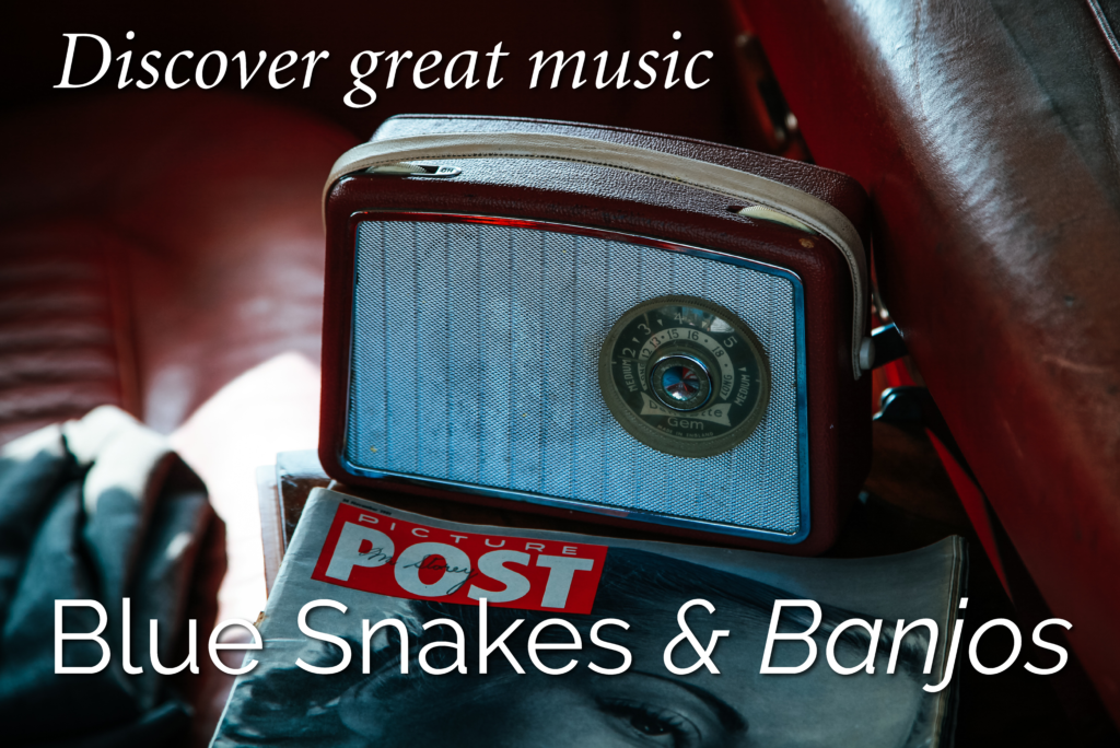 Blue Snakes and Banjos – Come for the music – Stay for the charm