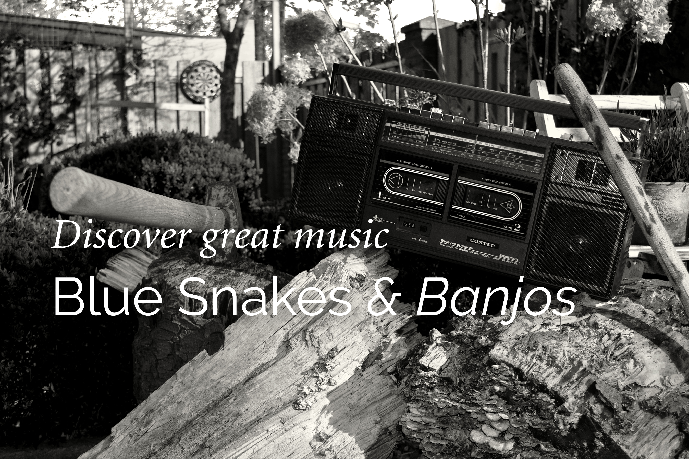 April 5, 2023 – Blue Snakes and Banjos